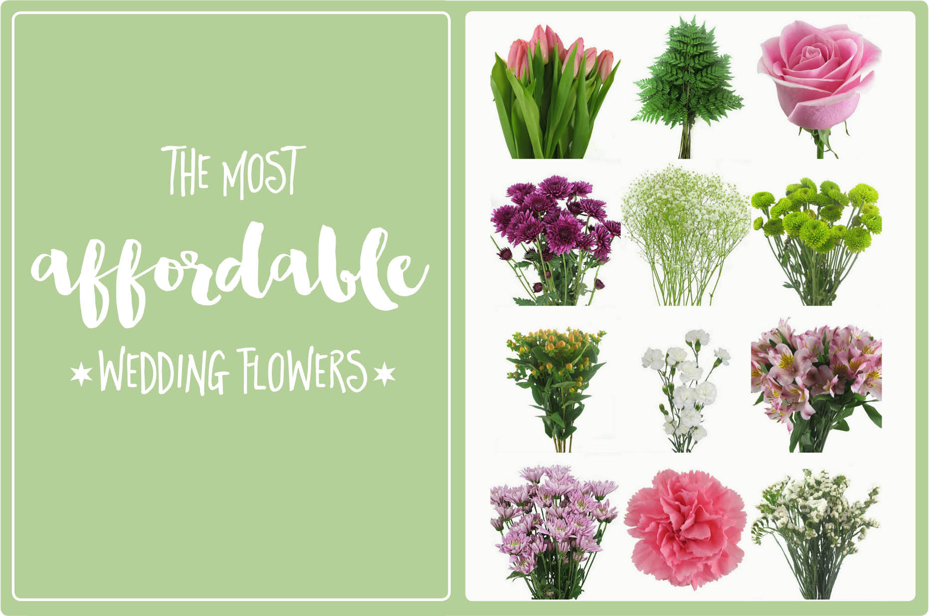 The Most Affordable Types Of Wedding Flowers On A Budget The Most Affordable Types Of Wedding Flowers On A Budget