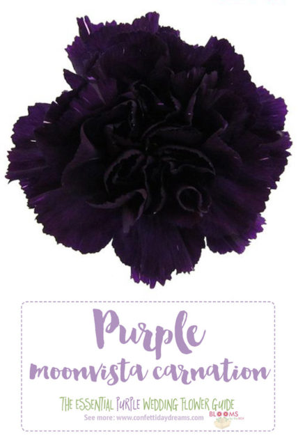 Complete Guide to Purple Wedding Flowers, Purple Flower Names + Pics