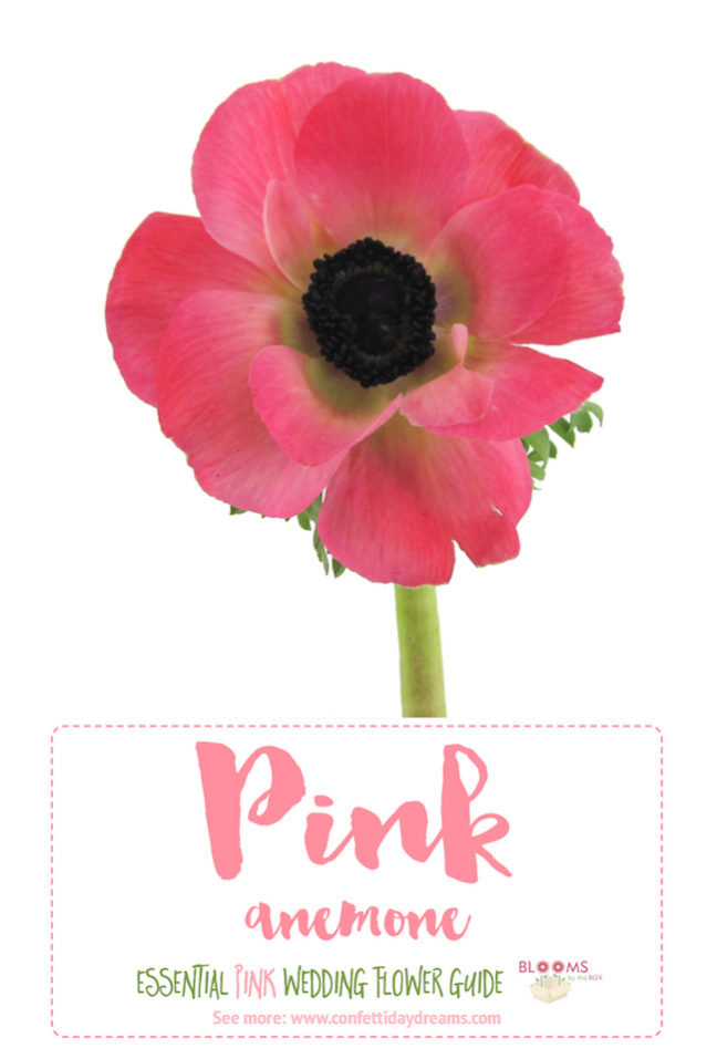The Essential Pink Wedding Flowers Guide: Types of Pink Flowers, Names ...
